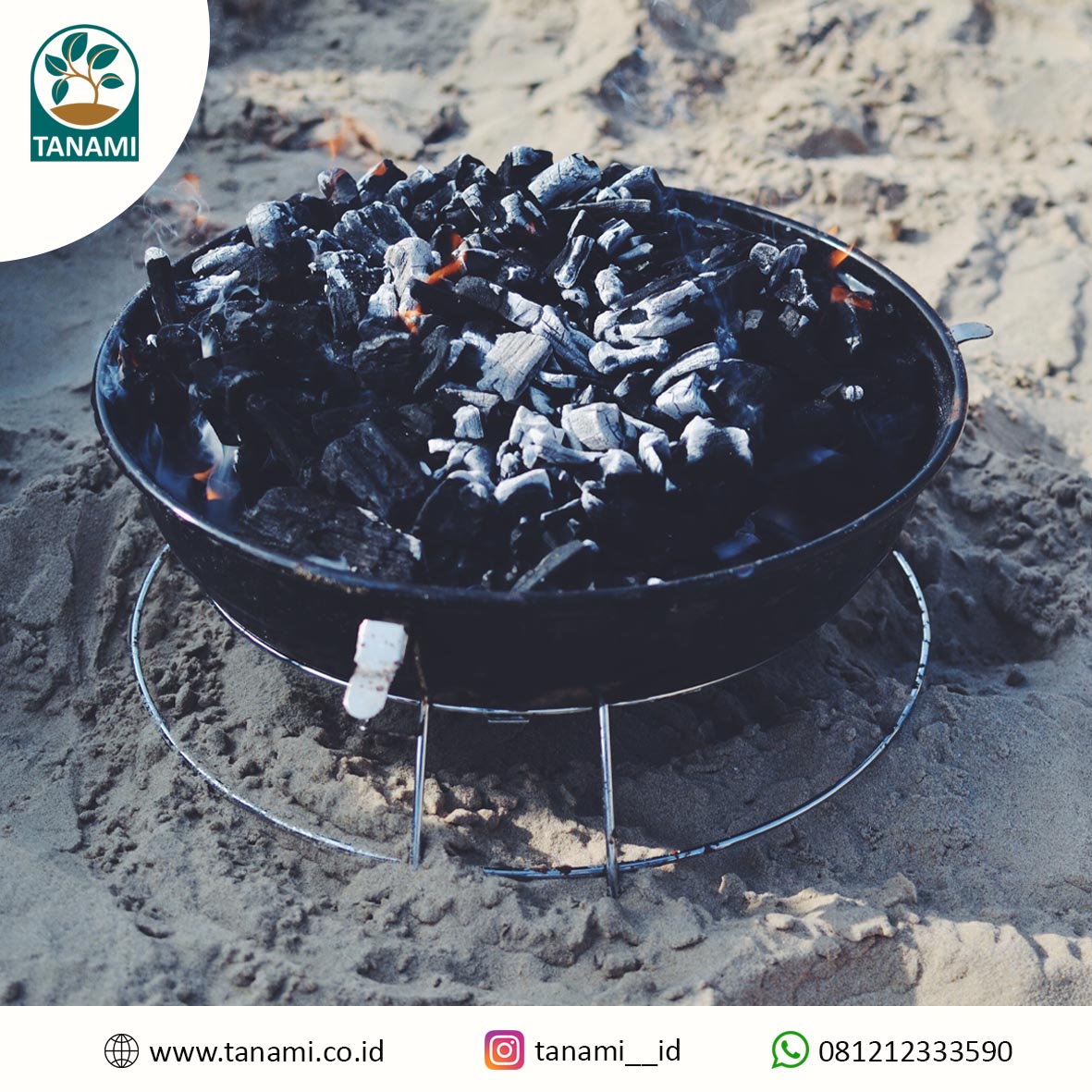 Syarat Arang Kelapa Ekspor ke Berbagai Negara - Jual Coco Peat, Coconut ...