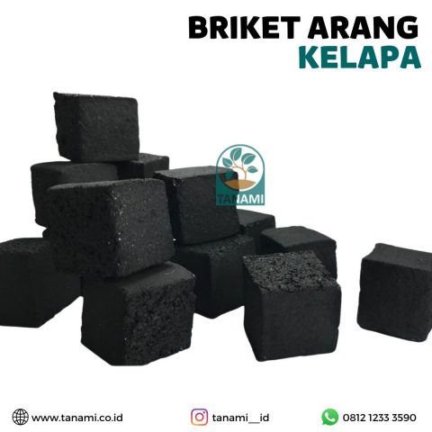 Pengertian Briket Arang Kelapa Adalah dan Cara Pembuatannya - Jual Coco ...