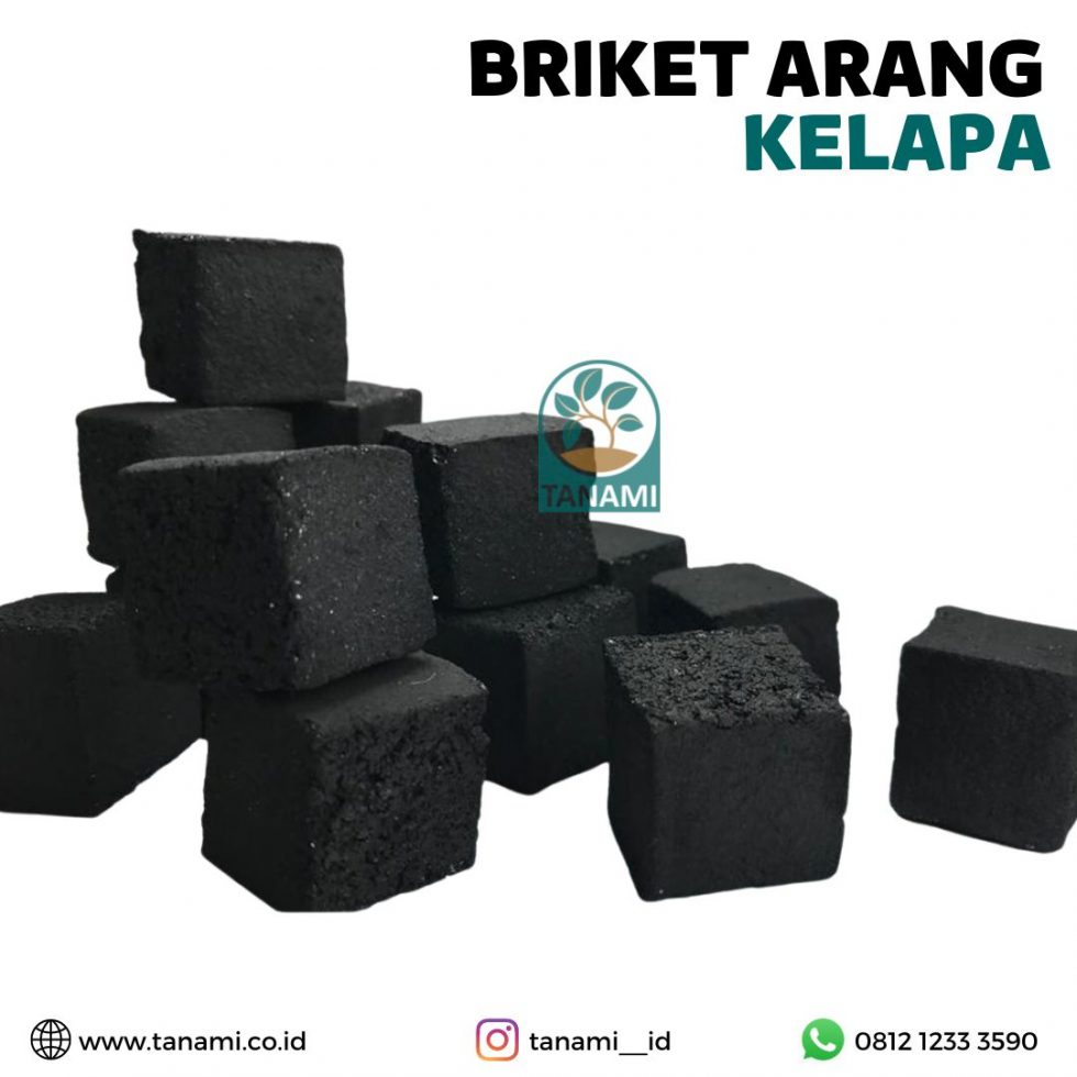 Pengertian Briket Arang Kelapa Adalah dan Cara Pembuatannya - Jual Coco ...