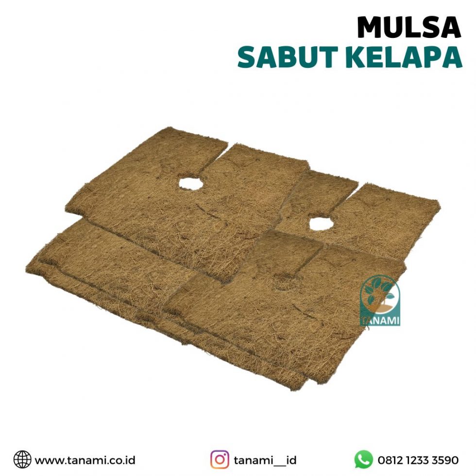 Sabut Kelapa sebagai Mulsa Organik, Pilihan Terbaik untuk Tanaman ...